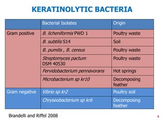 B'al keratinases | PPT