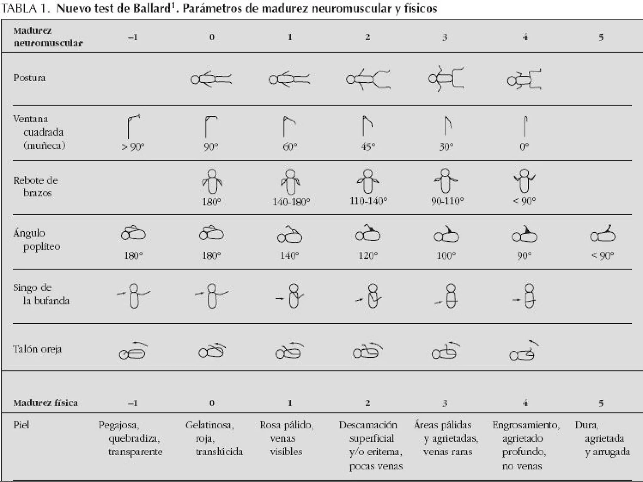 Ballard | PPT