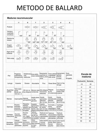 BALLARD PARA IMPRIMIR.pptx