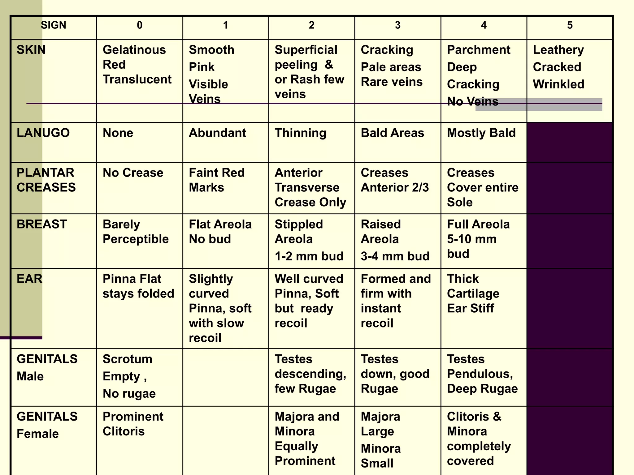 SCORING-BALLARDS.ppt.pdf