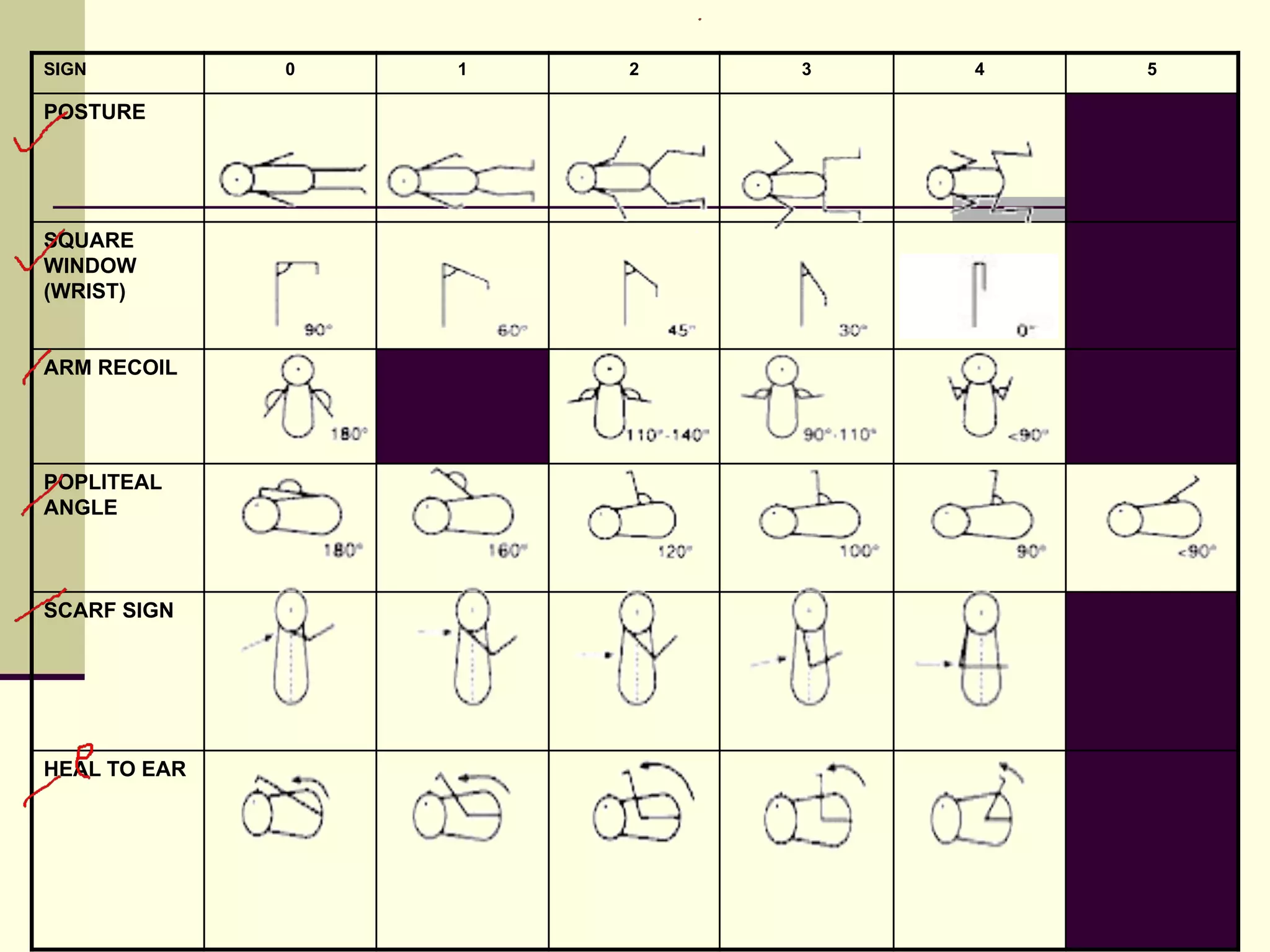 SCORING-BALLARDS.ppt.pdf