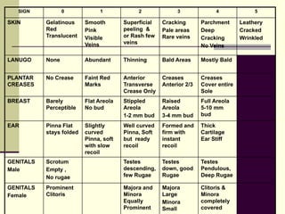 SCORING-BALLARDS.ppt.pdf