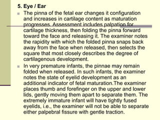 SCORING-BALLARDS.ppt.pdf