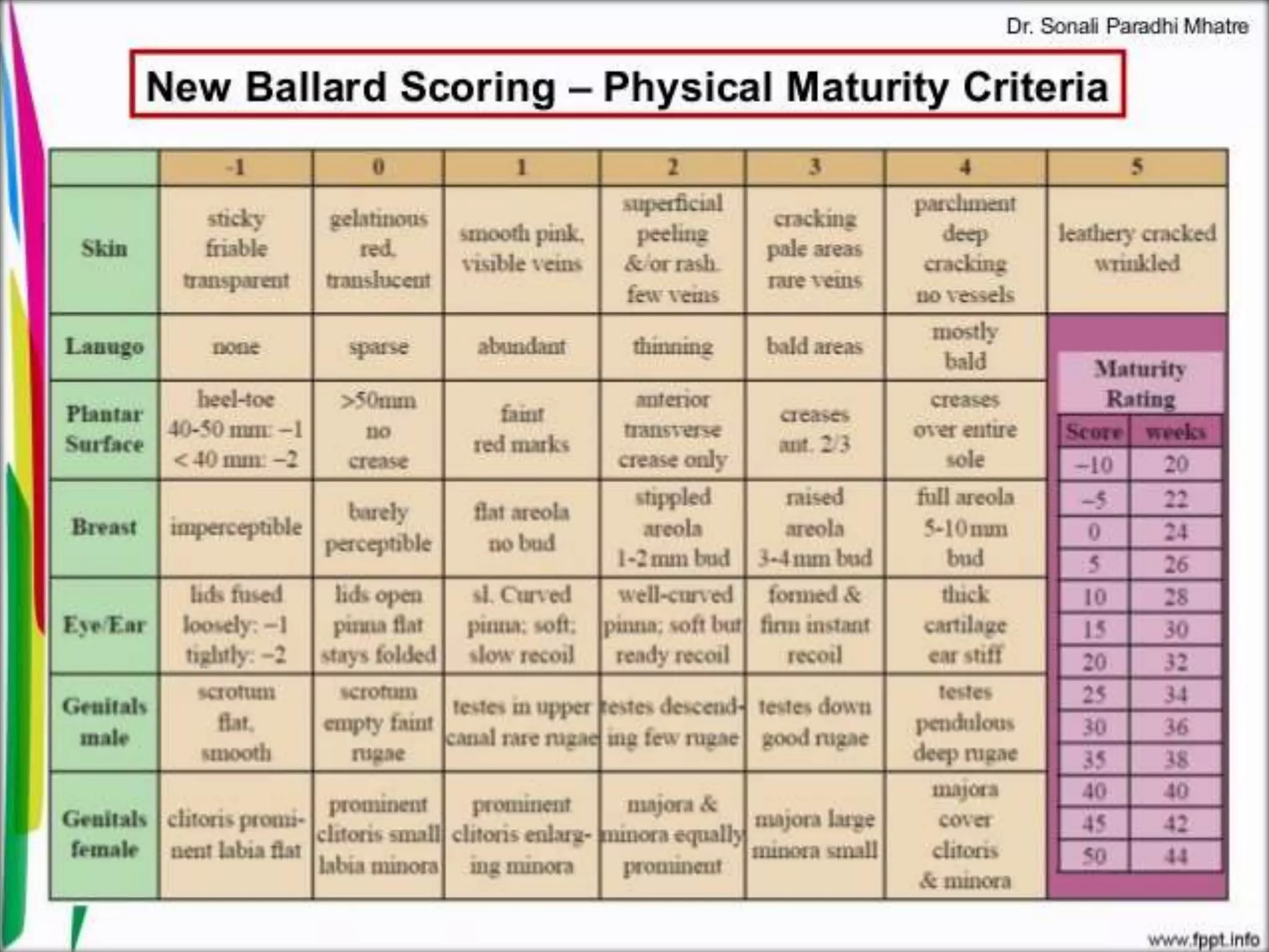 Ballard scale presentation | PPTX