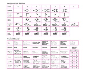 BALLARD SCORING AND INTERPRETATION ON PHYSICAL AND NEURO MATURITY | PPT