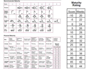 Ballard Score JaypeeDigital | EBook Reader