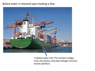 Ballast water :impact and management | PPTX