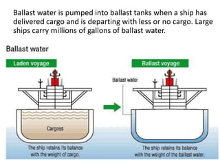 Ballast water :impact and management | PPTX