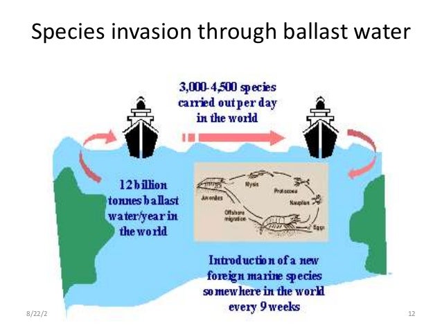 Ballast water :impact and management