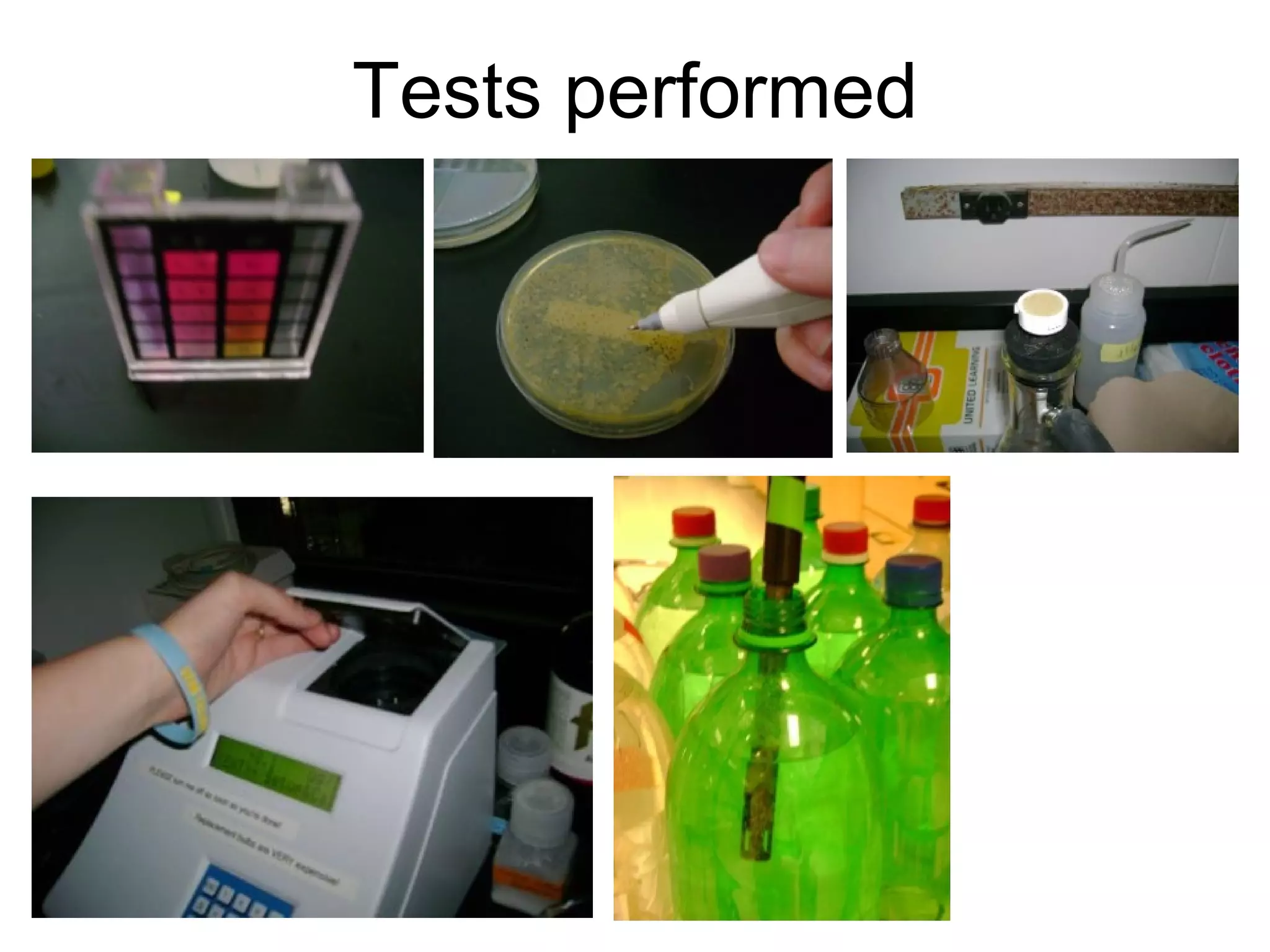 Ballast Water Thesis Experiment | PPT | Environment | Science