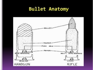 Ballistics | PPTX