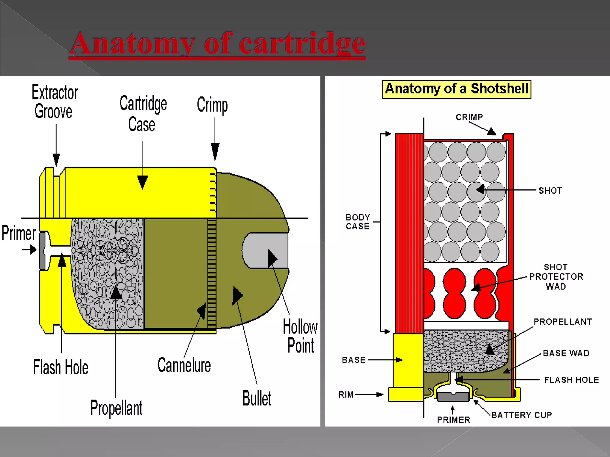 Forensic Ballistics | PPTX
