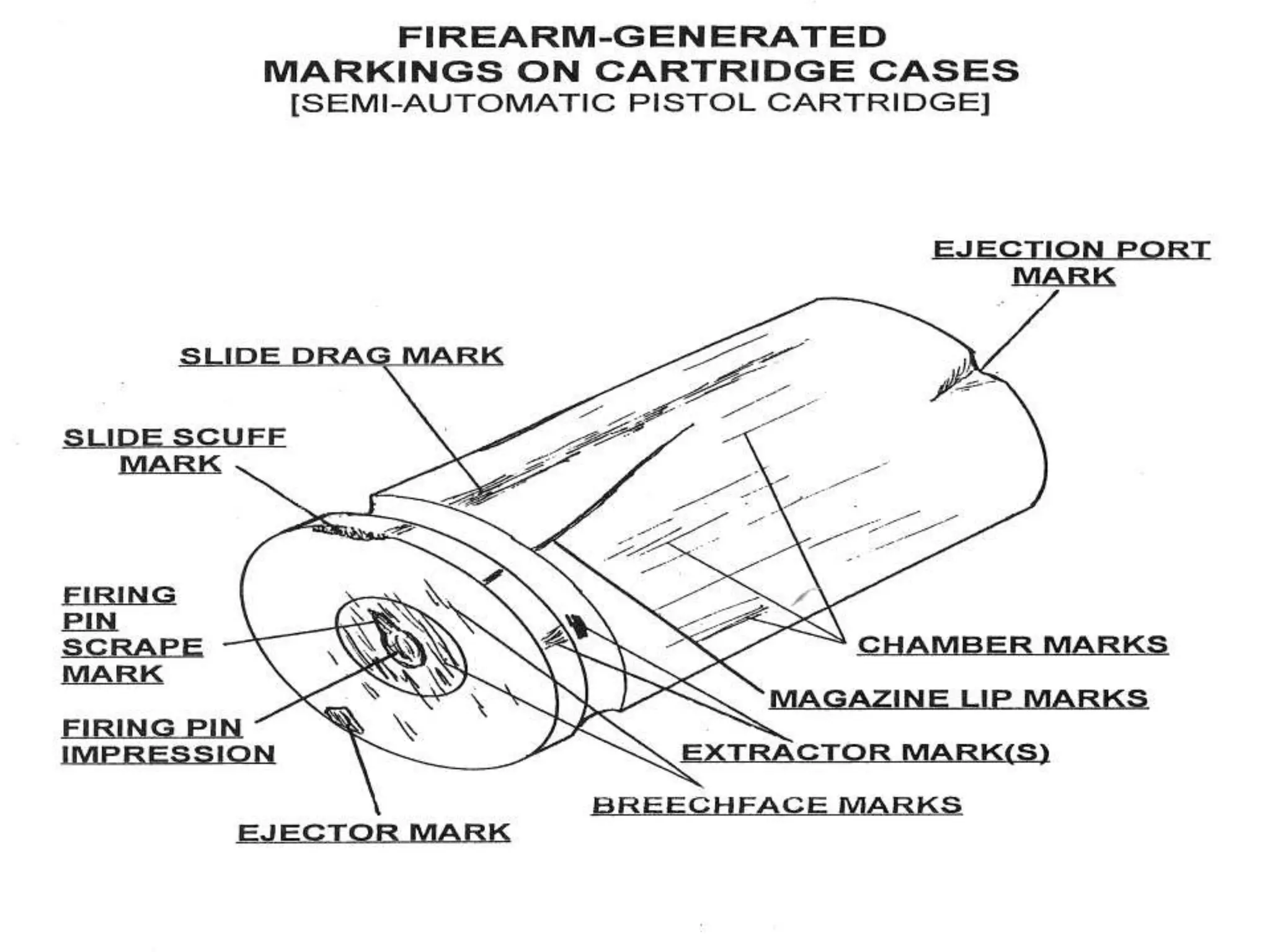 Forensic Ballistics | PPTX