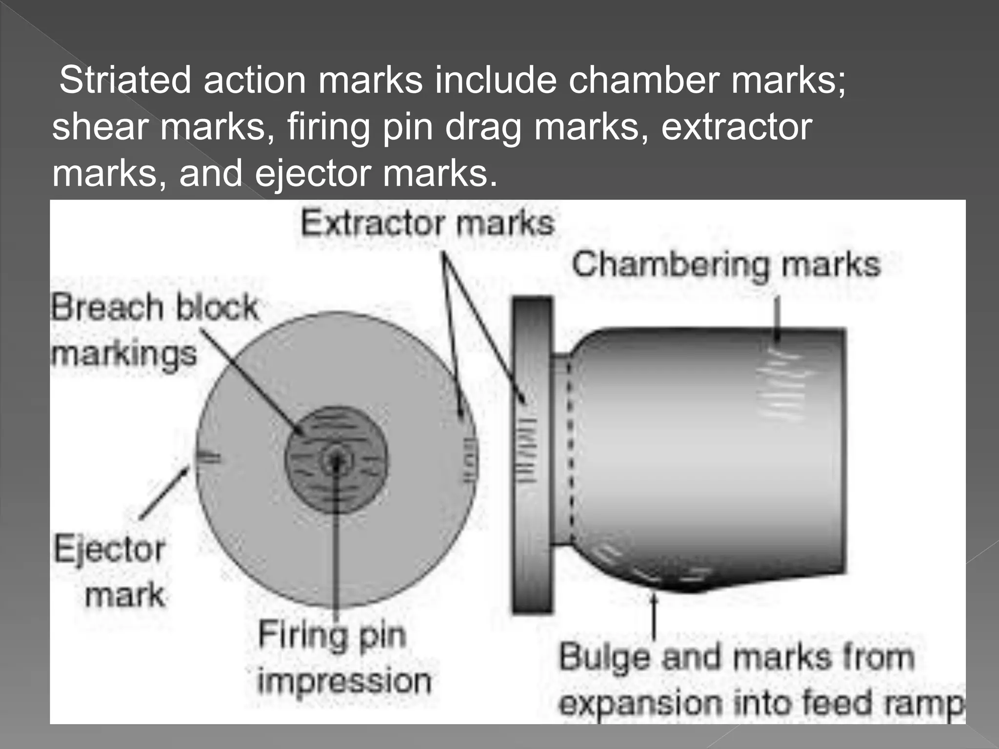 Forensic Ballistics | PPTX
