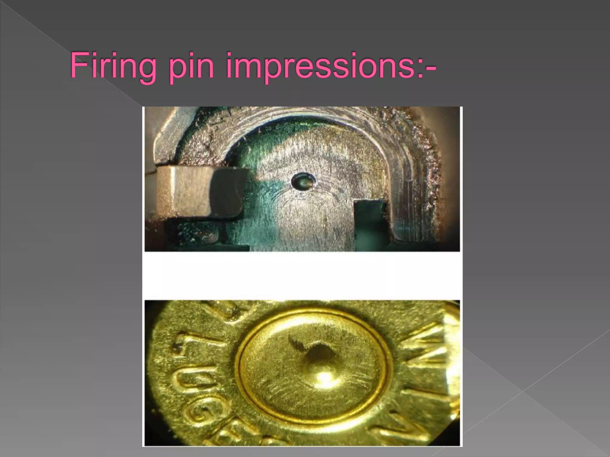 Forensic Ballistics | PPTX | Arms & Ammunition | Sensitive Topics