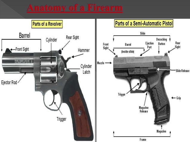 Forensic Ballistics | PPTX | Arms & Ammunition | Sensitive Topics