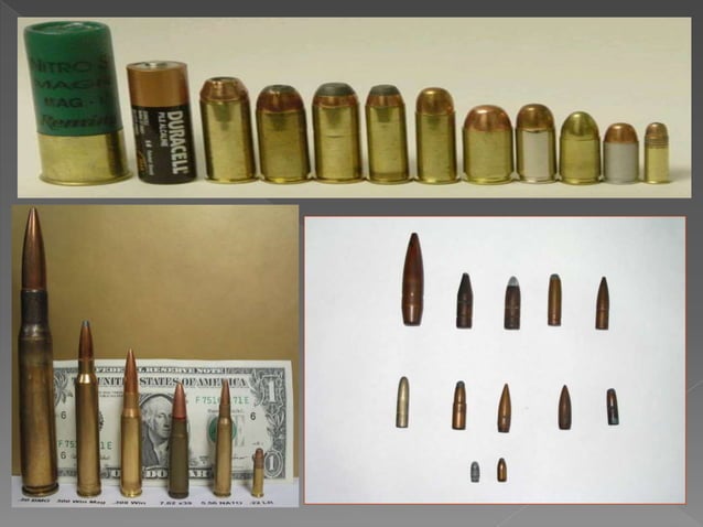 Forensic Ballistics | PPTX | Arms & Ammunition | Sensitive Topics