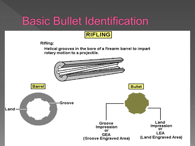 Forensic Ballistics | PPTX | Arms & Ammunition | Sensitive Topics