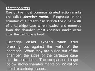 Forensic Ballistics | PPTX