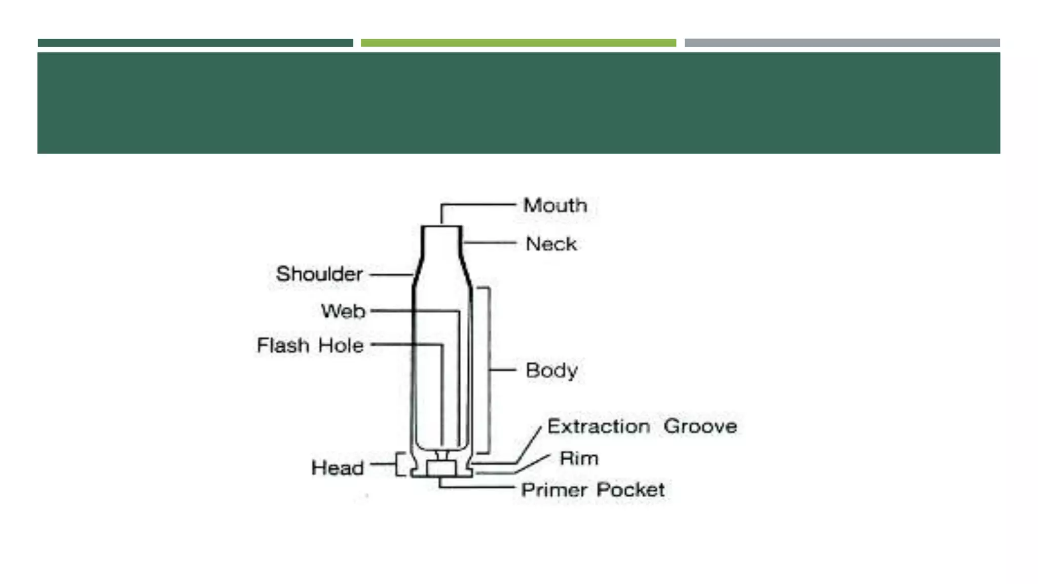 Introduction to Forensic Ballistics | PPTX