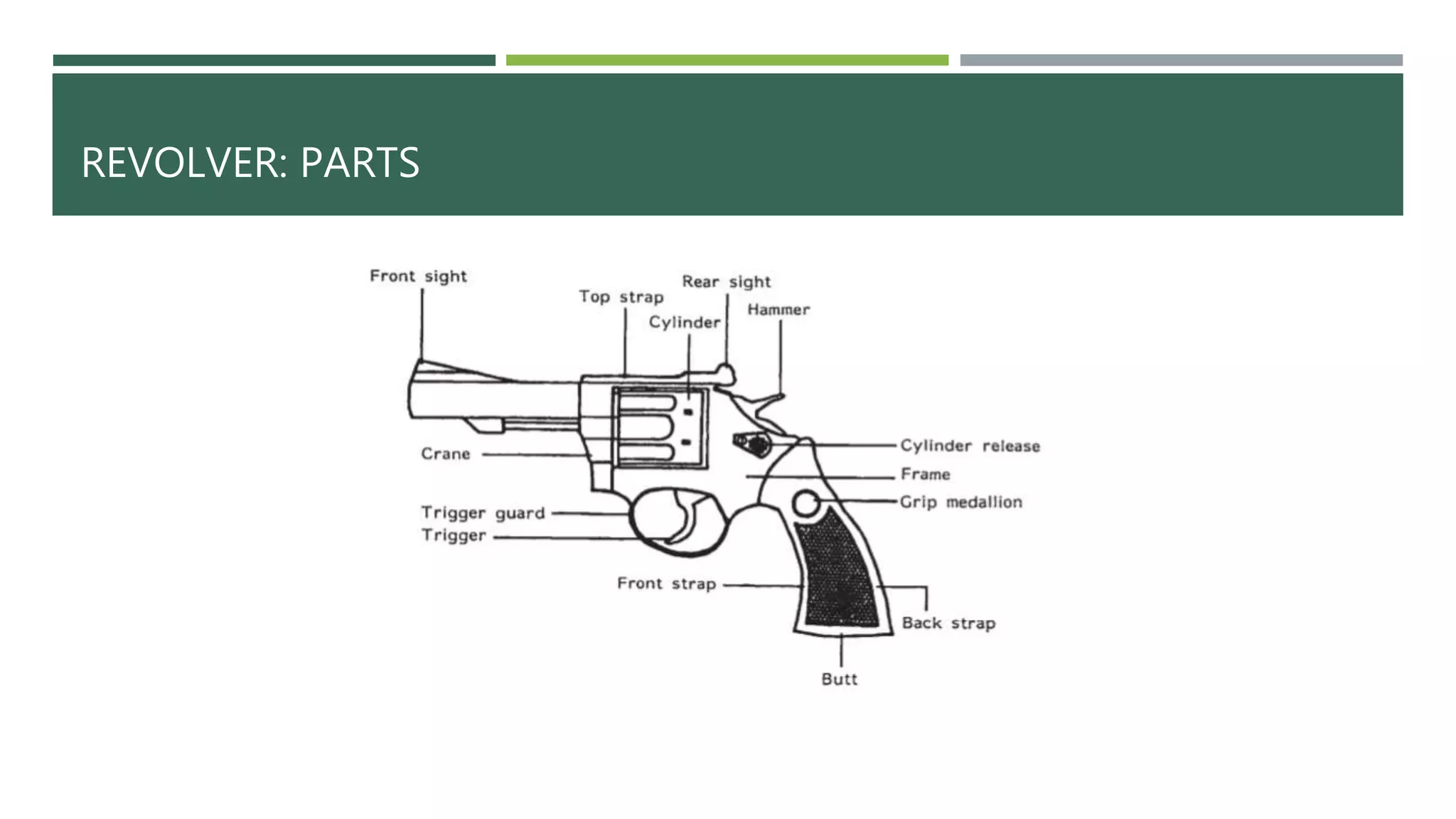 Introduction to Forensic Ballistics | PPTX