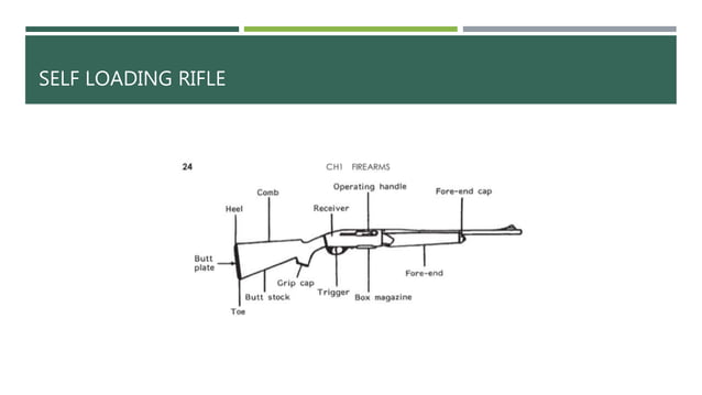 Introduction to Forensic Ballistics | PPTX | Arms & Ammunition ...