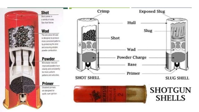 Introduction to Forensic Ballistics | PPTX | Arms & Ammunition ...