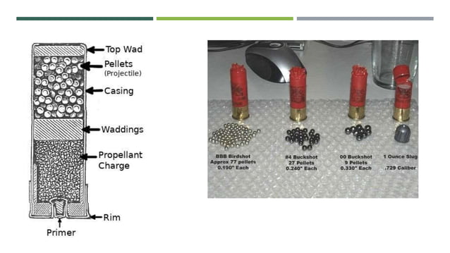 Introduction to Forensic Ballistics | PPTX | Arms & Ammunition ...