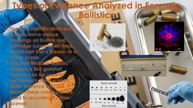 Ballistics in Forensic Science Power Point | PPTX | Arms & Ammunition ...