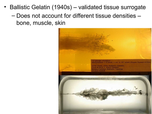 Ballistics in Trauma | PPT