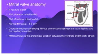 Balloon Mitral Valvuloplasty. BMV (PTMC) | PPT