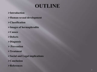 Hermaphroditism | PPTX
