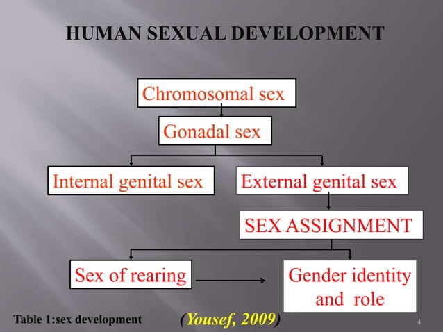 Hermaphroditism | PPTX | Sexual Conditions | Sexual Health