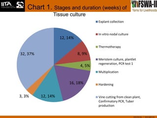 Overview of achievements on pre-basic seed production in 2017 | PPTX ...