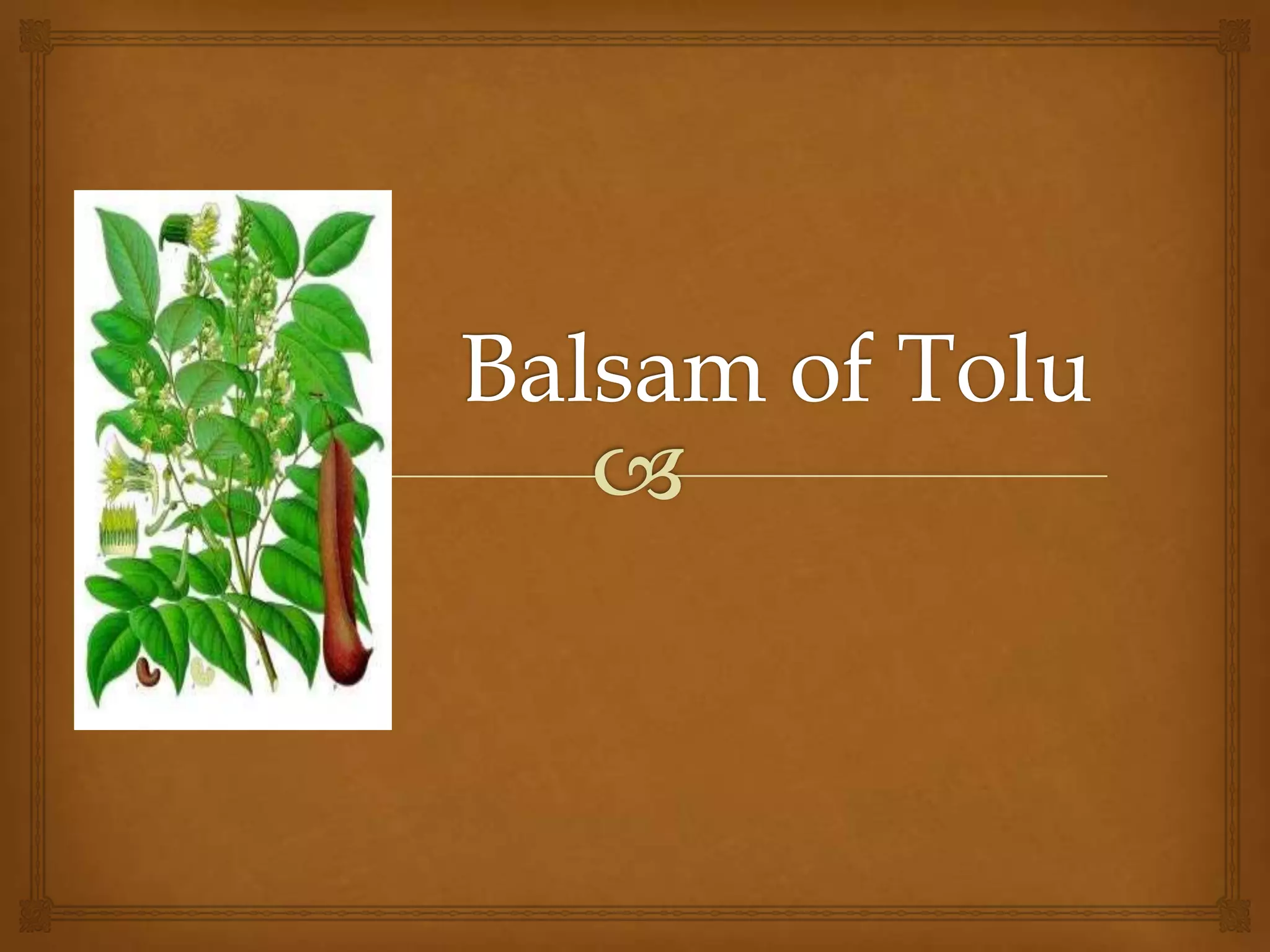 Balsam of tolu | PPTX