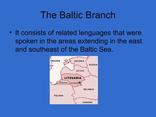 Baltic branch | PPT