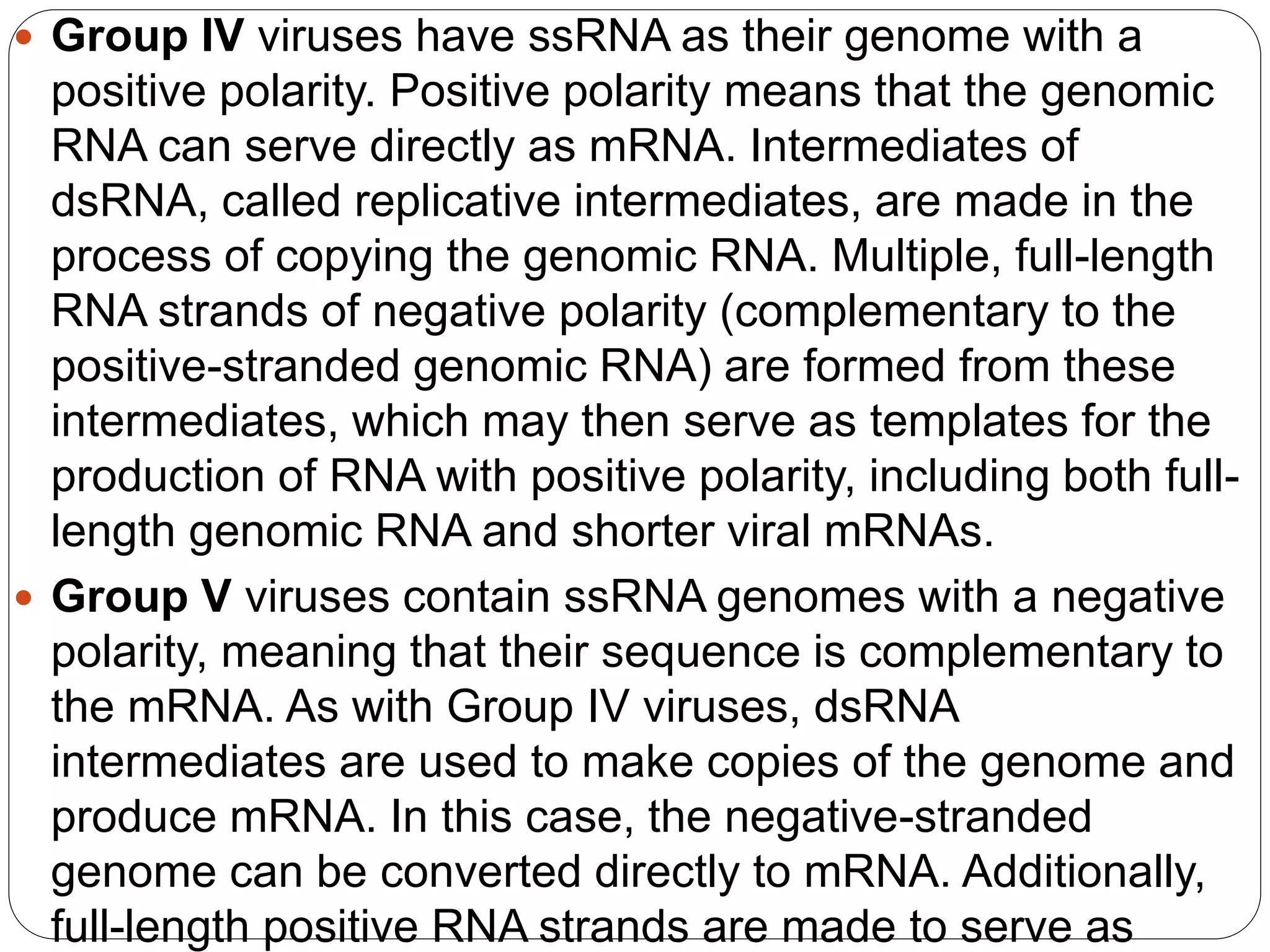 Baltimore classification virus | PPTX