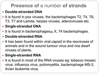 Baltimore classification virus | PPTX
