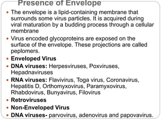 Baltimore classification virus | PPTX