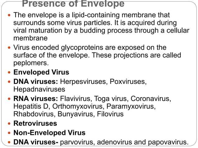 Baltimore classification virus | PPTX