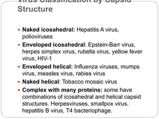 Baltimore classification virus | PPTX