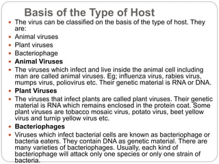 Baltimore classification virus | PPTX