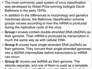 Baltimore classification virus | PPTX
