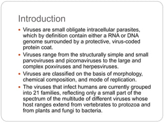 Baltimore classification virus | PPTX