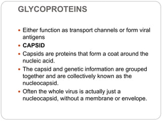 Baltimore classification virus | PPTX