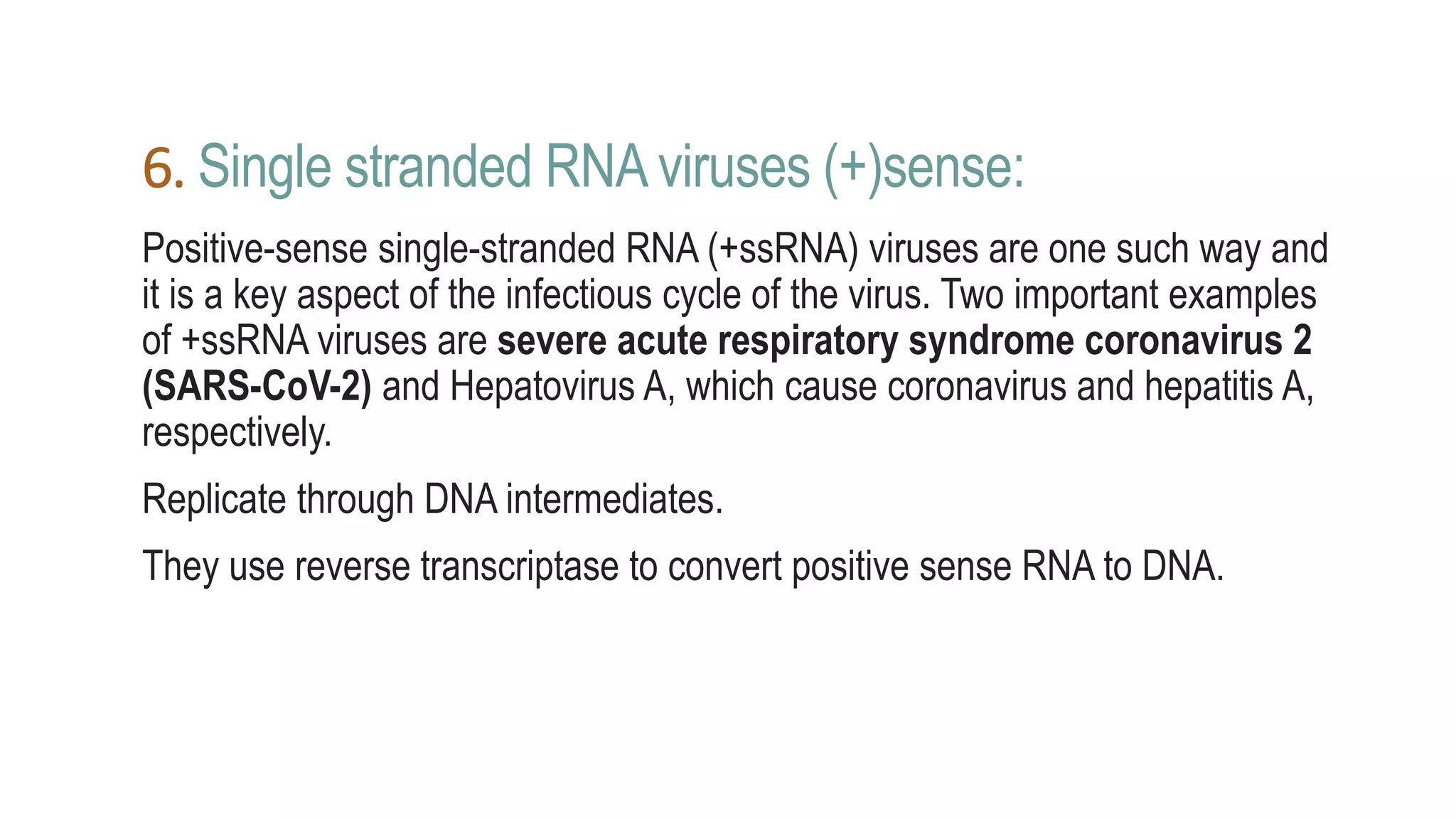 Baltimore classification of viruse 1 | PPTX