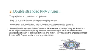 Baltimore classification of viruse 1 | PPTX