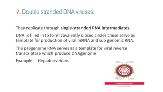 Baltimore classification of viruse 1 | PPTX