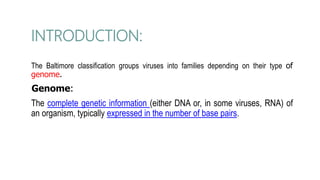 Baltimore classification of viruse 1 | PPTX