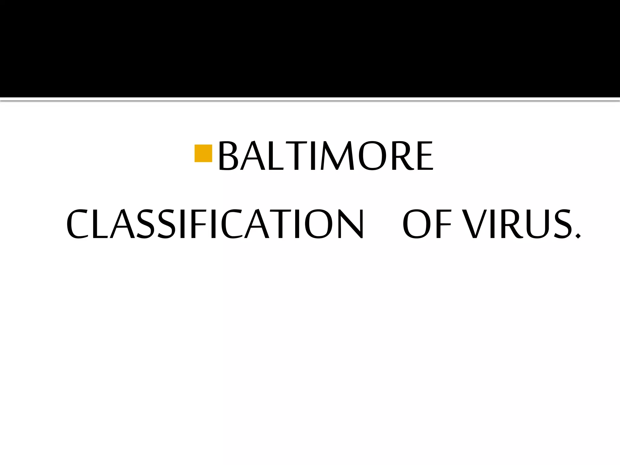 Baltimore classification of viruses presentation | PPTX